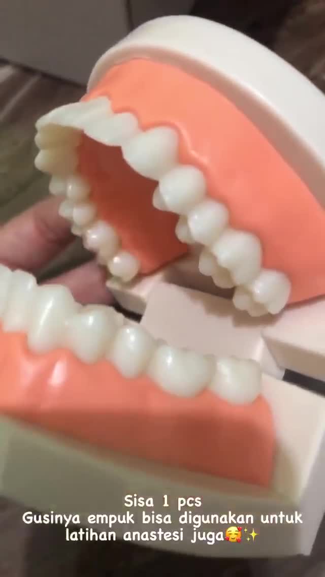 Jual Phantom gigi / model gigi / gigi tiruan | Shopee Indonesia