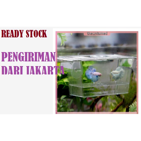 Jual Acrylic Baby Fish Tank Breeding Isolation Box Aquarium AKUARIUM ...