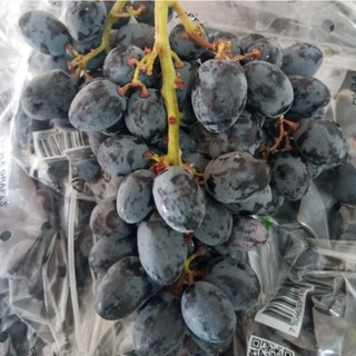 Jual Anggur Black Autumn 500g Share Pack. autum Hitam Seedless Tanpa ...