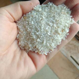 Jual BERAS MENIR | Shopee Indonesia