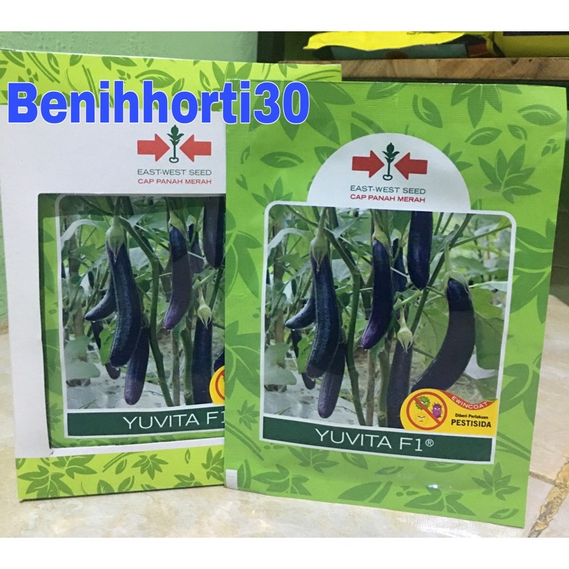 Jual Benih Terong Ungu Yuvita F1 isi 1100 butir | Shopee Indonesia