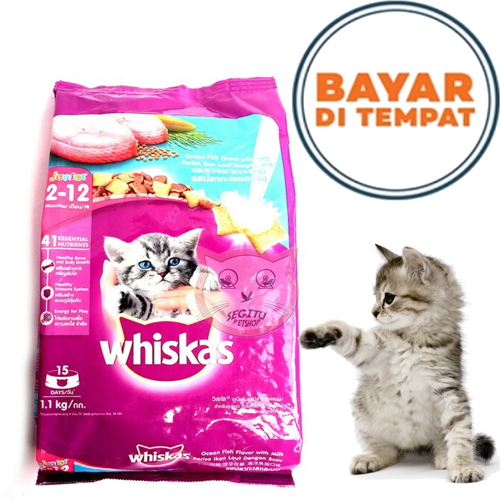 Harga Makan Kucing 1KG Wiskas Terbaru Jun 2026 | BigGo Indonesia