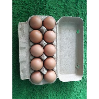 Jual Paper egg tray/tray telur karton/Tray telur kertas/Box telur ...