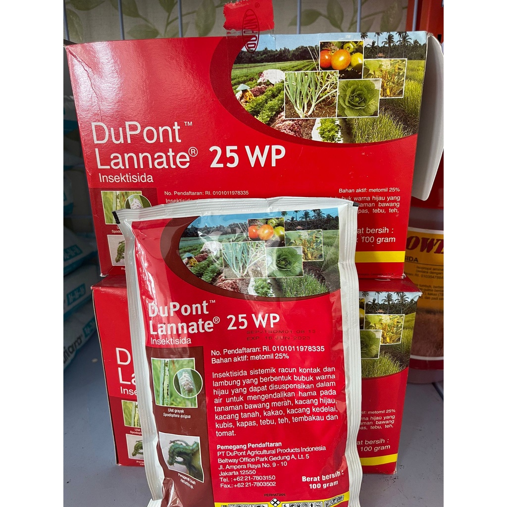 Jual INSEKTISIDA DUPONT LANNATE 25 WP | Shopee Indonesia Jual INSEKTISIDA DUPONT LANNATE 25 WP | Shopee Indonesia