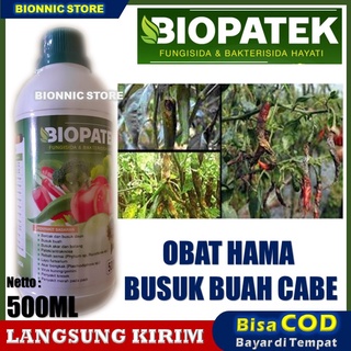 Jual BIOPATEK 500ml Fungisida & Bakterisida Hayati Obat Hama Patek Cabe - Mengatasi Hama ...