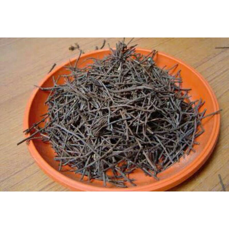 Jual PAKIS CACAH STERIL 500gram | Shopee Indonesia