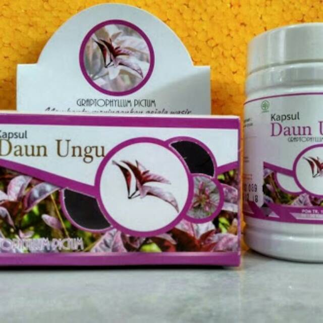 Jual Kapsul Daun Ungu Griya An-Nur isi 50 Kapsul @500mg | Harga Terbaik | Al-Hadi Herbal ...