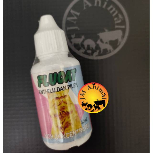Jual Flucat obat tetes kucing flu & pilek | Shopee Indonesia