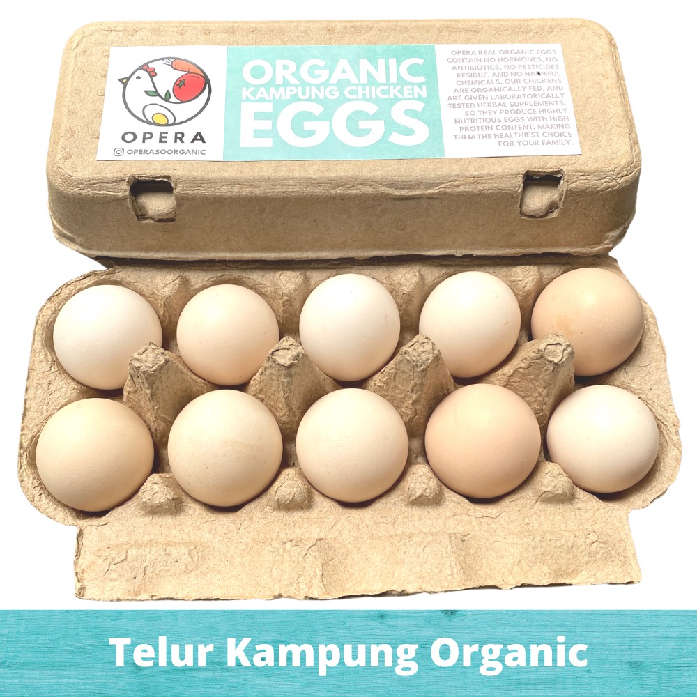 Jual Telur Ayam Kampung Organik 1 Butir Opera Organic Chicken Eggs Egg ...