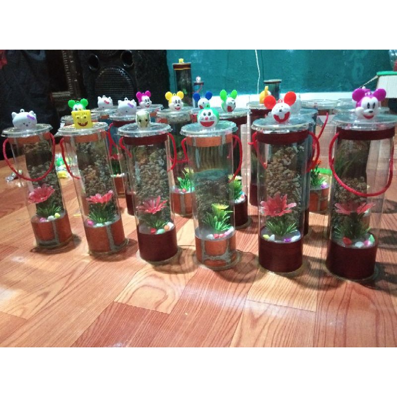 Jual aquarium tabung mini cantik | Shopee Indonesia