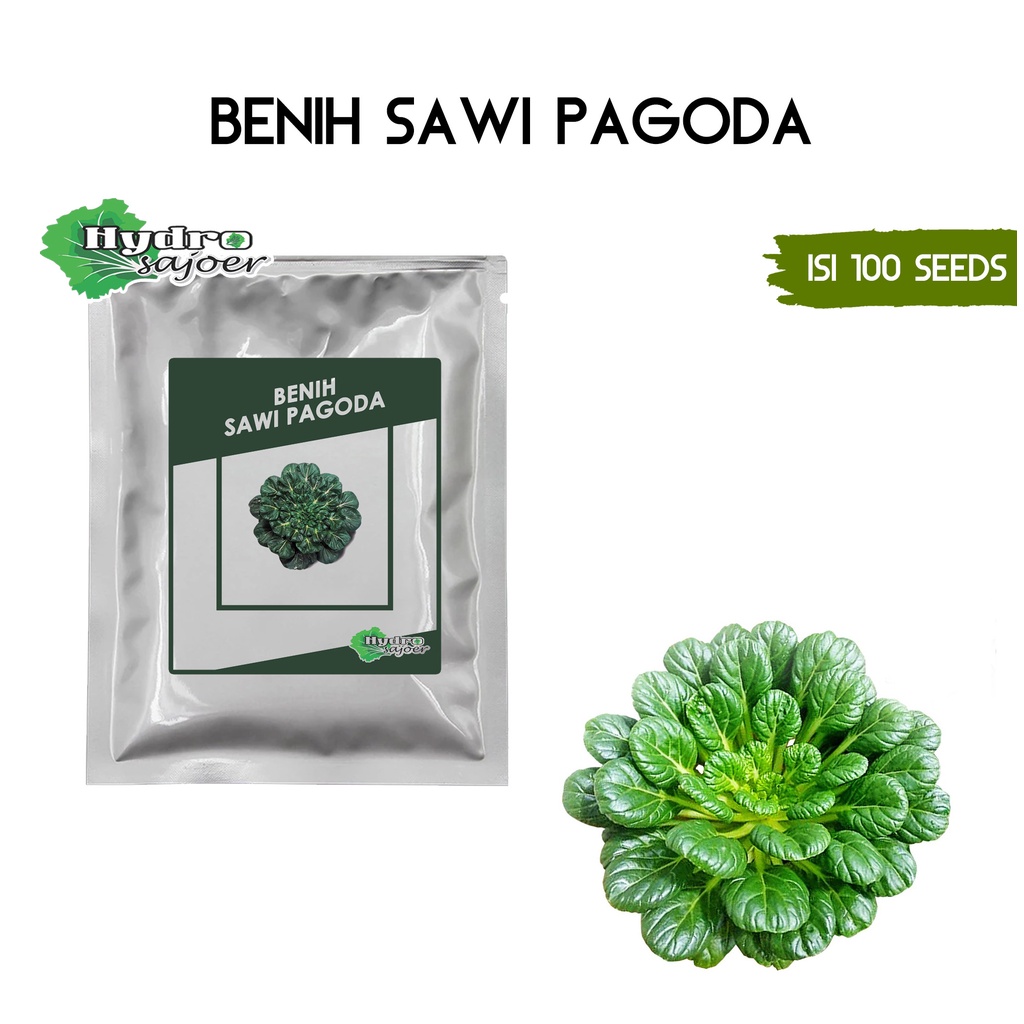 Jual Benih Sayur Sawi Pagoda - isi 100 biji | Shopee Indonesia
