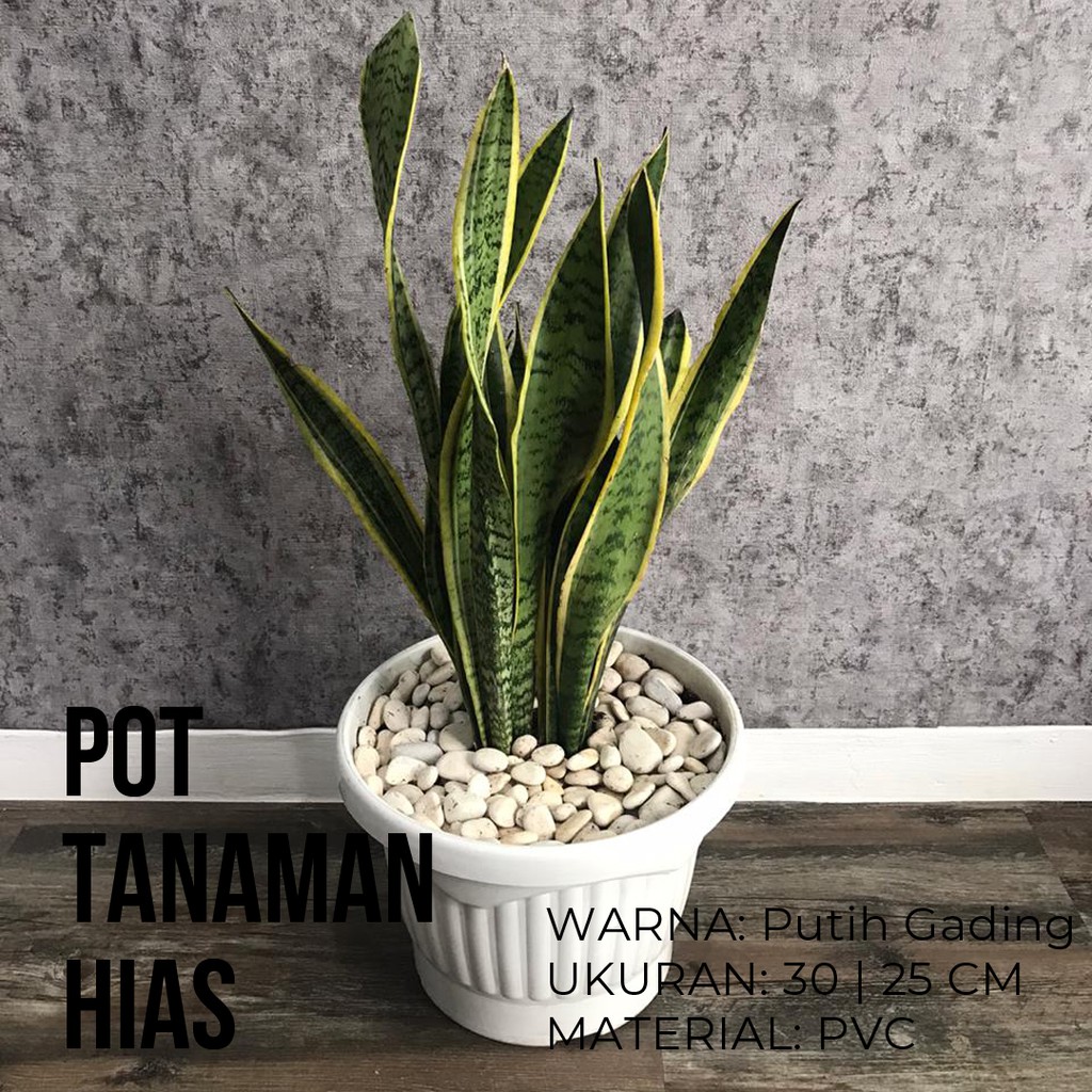 Jual POT TANAMAN HIAS 25 CM | 30 CM | Shopee Indonesia