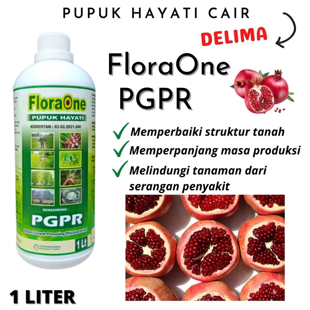 Jual Pupuk Organik Untuk Delima, Pupuk PGPR Cair 1 Liter Mengandung ...