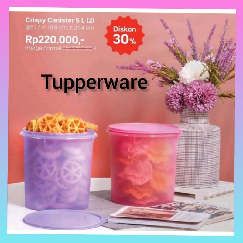 Jual Toples kerupuk Tupperware / Snack ukuran besar sedang | Shopee ...