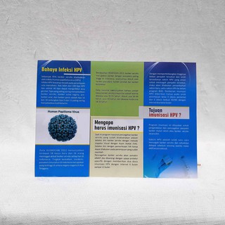 Jual Leaflet / Brosur HPV Brosur Imunisasi HPV, Poster Imunisasi ...