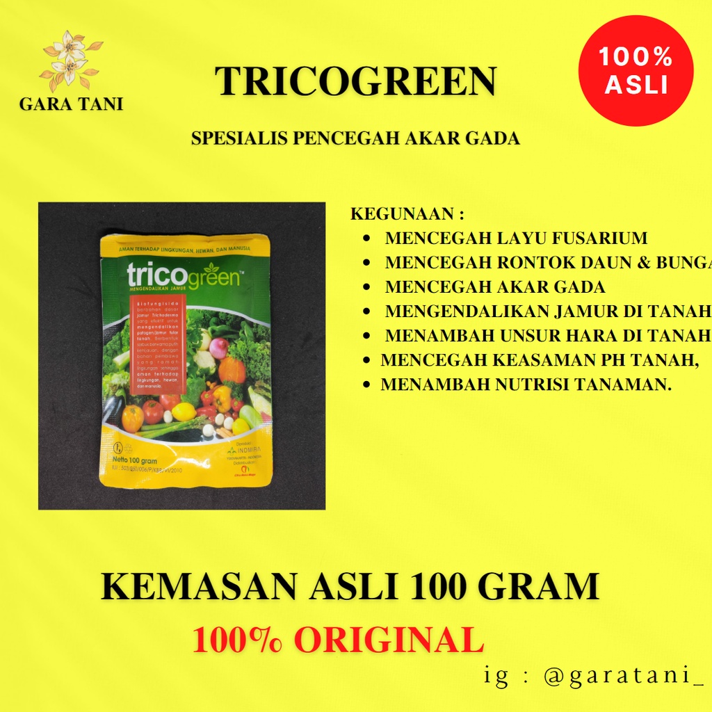 Jual TRICO GREEN (BIOFUNGISIDA THRICODERMA) ISI 100 GRAM (Spesialis ...