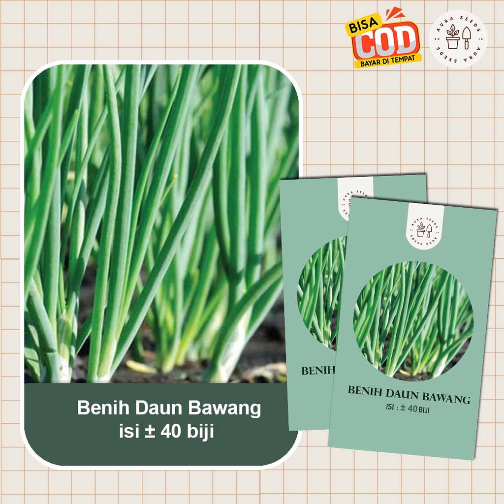 Jual Bibit Biji Benih Sayuran Daun Bawang Loncang Isi 40 Biji Benih ...