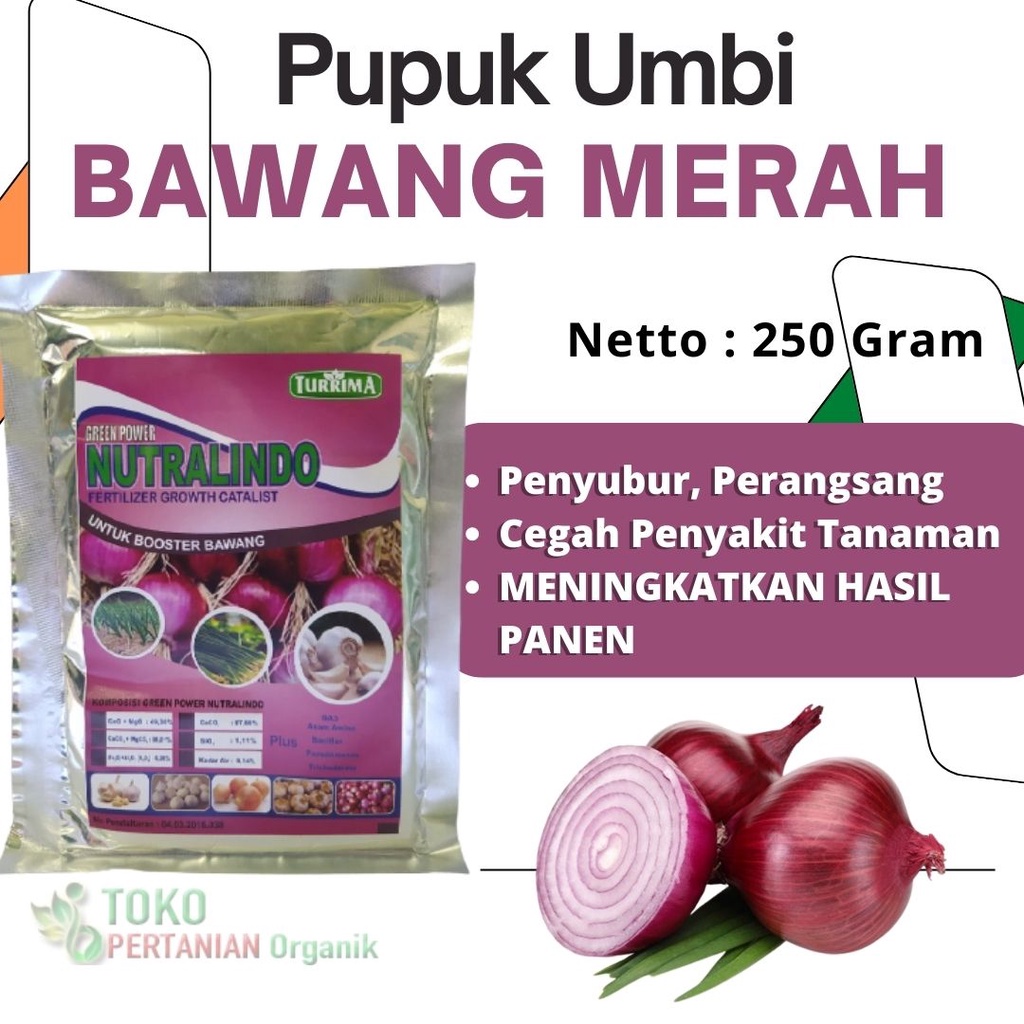 Jual Pupuk Pembesar Organik ubi bawang merah, Pelebat alami NUTRALINDO untuk membesarkan umbi ...