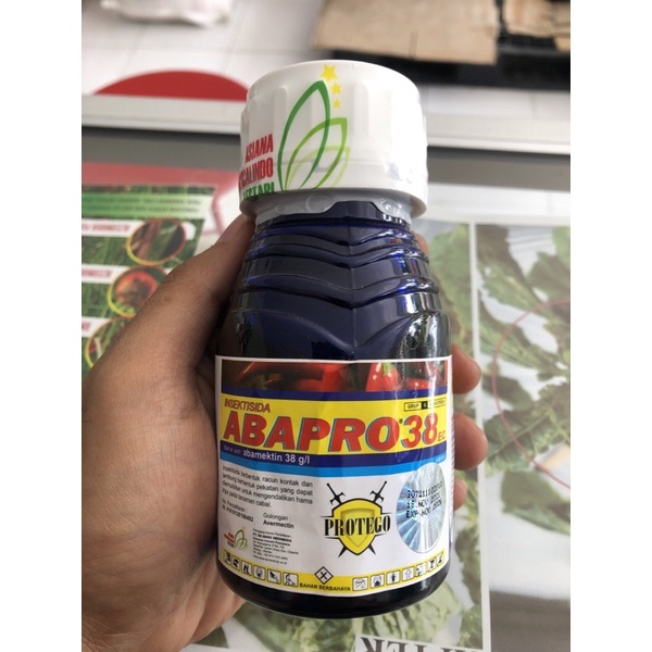 Jual Insektisida Abapro 38EC (250ml) | Shopee Indonesia