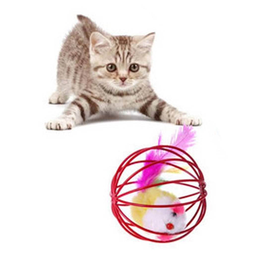 Jual MAINAN KUCING TIKUS - MAINAN BOLA TIKUS WARNA WARNI - MAINAN HEWAN ...