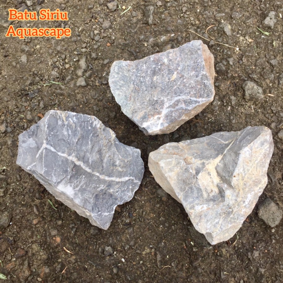 Jual Batu Siriu Seiryu Stone Aquascape Aquarium Paludarium Decor Taman ...