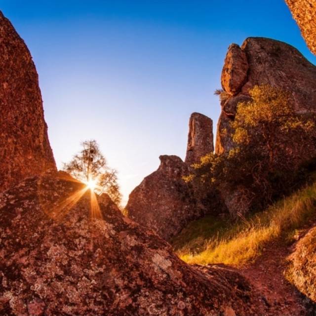 Produk Vannyaflo | Shopee Indonesia