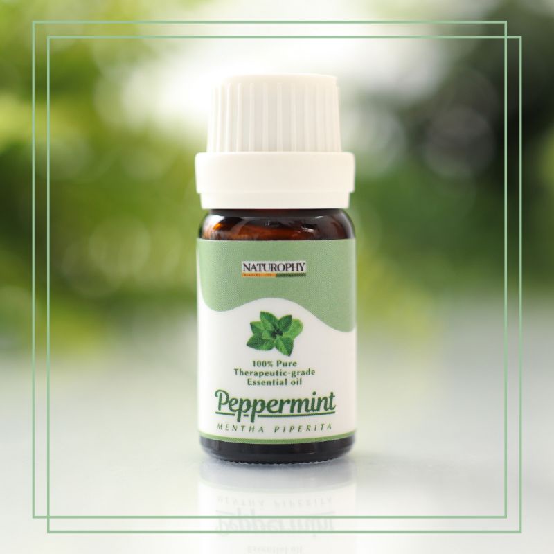 Jual Peppermint essential oil pure & natural - therapeutic grade - aromateraphy - diffuser ...