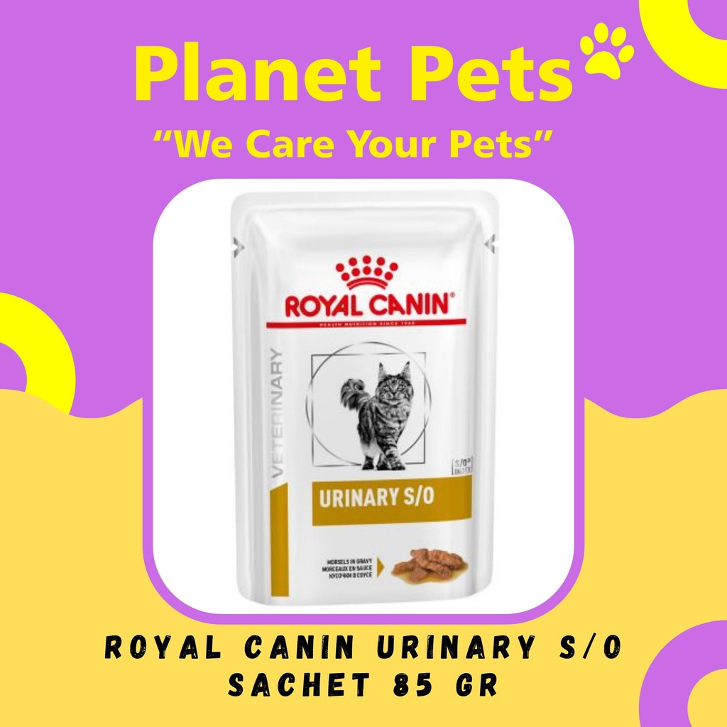 Jual royal canin urinary s/o Cat Wet 85 gr | Shopee Indonesia