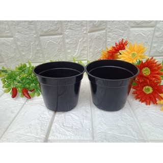 Jual Pot 10cm Hitam Murah - Pot Bulat Mini Kecil Bisa Untuk Vas Bunga ...