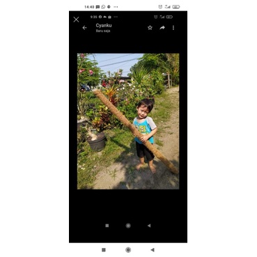 Jual TURUS LILIT sabut kelapa | Shopee Indonesia