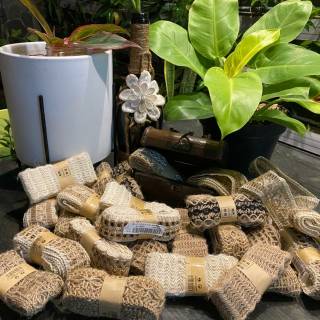 47+ Gambar Tanaman Jute Populer - Informasi Seputar Tanaman Hias