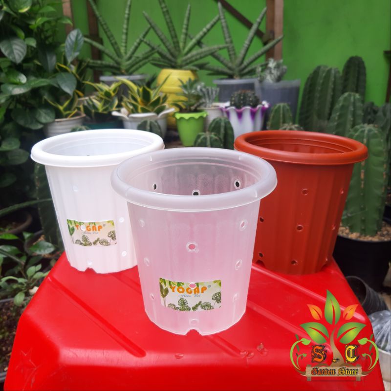 Jual POT BUNGA YOGAP YPT 10 BERLUBANG BENING / TRANSPARAN PUTIH & MERAH ...