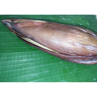 Jual Botok Ontong (jantung pisang) | Shopee Indonesia