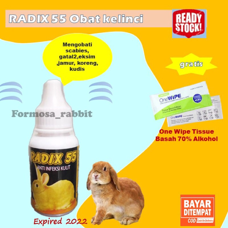 Jual RADIX 55 OBAT Kelinci Scabies Obat Jamur Koreng Scabies Kelinci ... Jual RADIX 55 OBAT Kelinci Scabies Obat Jamur Koreng Scabies Kelinci ...