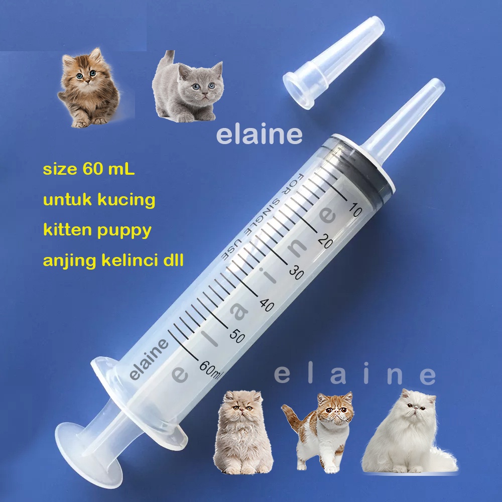 Jual Kucing Genetta Terlengkap & Harga Terbaru Desember 2022 | Shopee ...