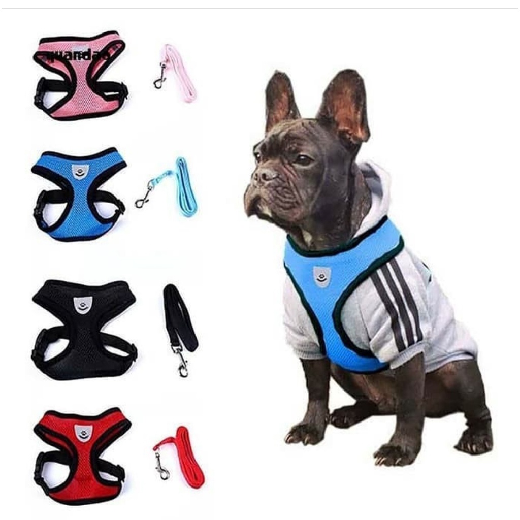 Jual Tali Harness H Tuntun Anjing Kucing Kelinci Model H Baju Mest Vest ...