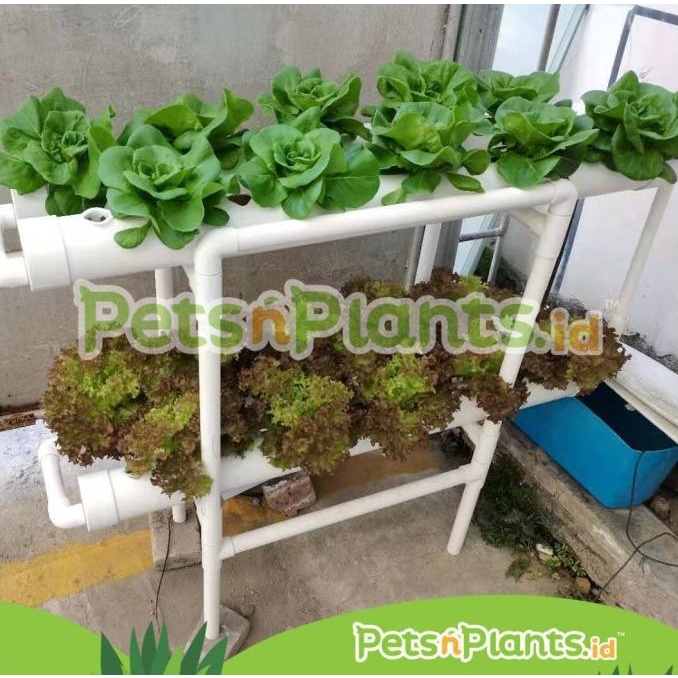 Jual HIDROPONIK SET PIPA 90 MM IMPORT PVC-U PENGGANTI SISTEM DUTCH ...