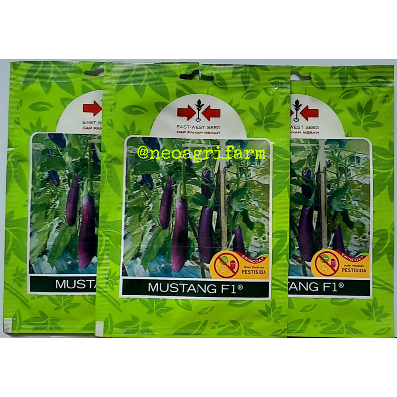 Jual Benih Terong MUSTANG F1 Cap Panah Merah Indonesia|Shopee Indonesia