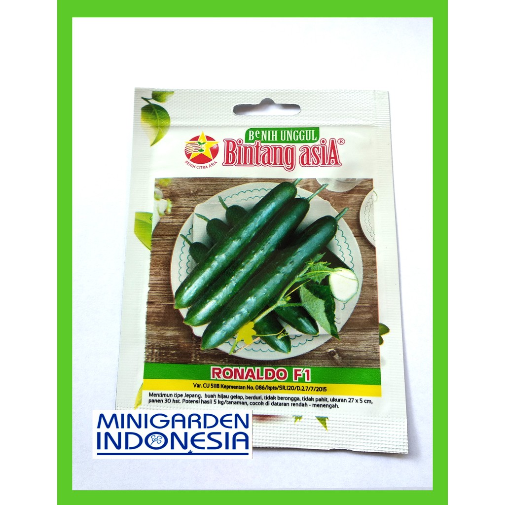 Jual TIMUN JEPANG RONALDO 2,5 GRAM PACK KECIL benih bibit biji mentimun ...