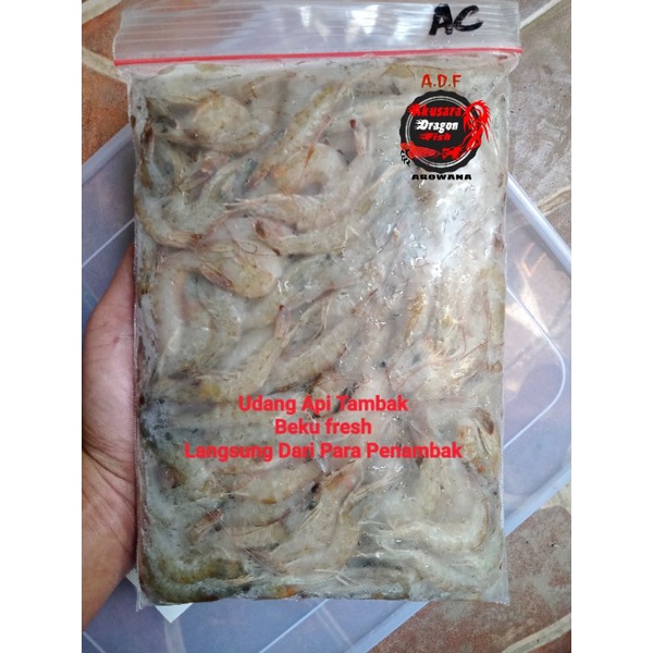 Jual Udang Fresh/ Udang Api Beku isi 500gram/ Pakan Ikan Arowana ...