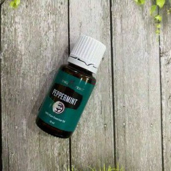 Jual peppermint oils 15 ml | Shopee Indonesia