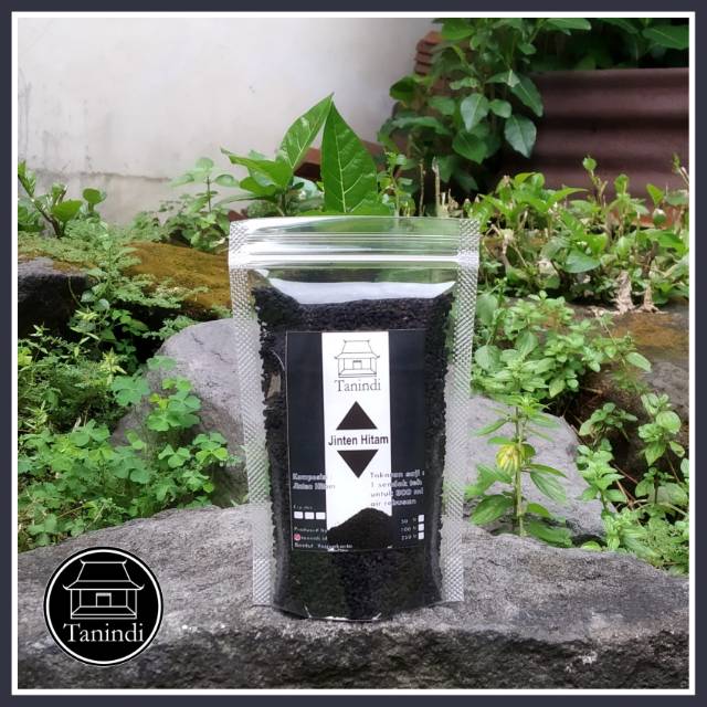 Jual Jinten Hitam 50gr Habbatussauda Original | Shopee Indonesia