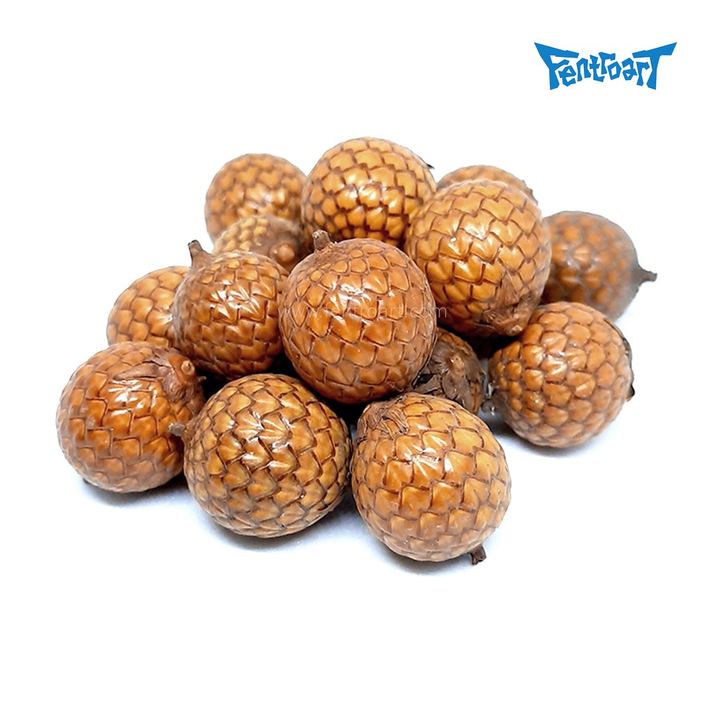 Jual Biji rotan natural / bunga kering rustik / dried rustic flower ...