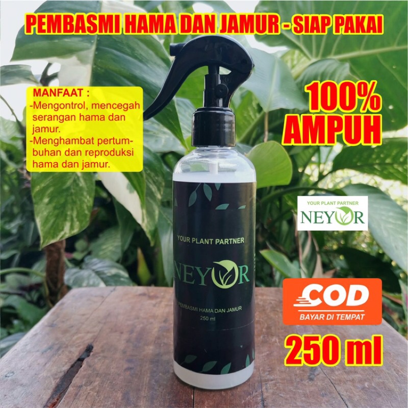 Jual NEYOR - obat hama tanaman ulat, jamur tanaman daun, hama daun ... Jual NEYOR - obat hama tanaman ulat, jamur tanaman daun, hama daun ...