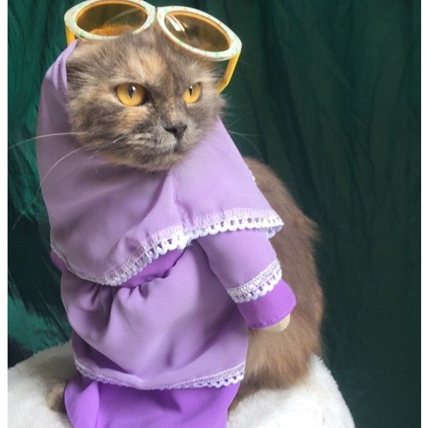 Jual Baju Kucing Viral Cosplay Ukhty | Shopee Indonesia