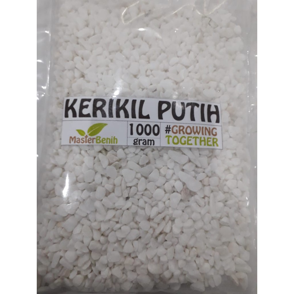 Jual Batu Salju/ Kerikil putih/ Batu hias putih 1kg | Shopee Indonesia