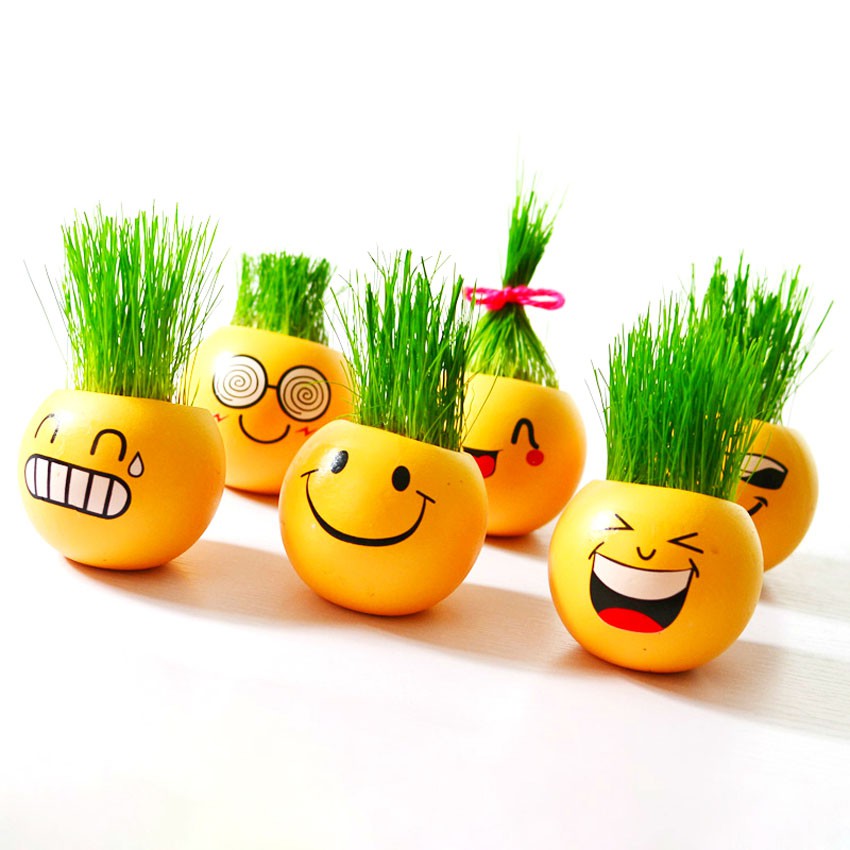 Jual Emoji Plant Grass Doll - Boneka Tanaman Rumput | Shopee Indonesia