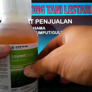 Jual Racun Herbisida Obat Rumput Sistemik Selektif Purna Tumbuh di ...