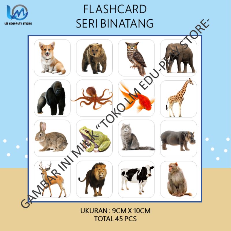 Jual FLASHCARD Kartu Belajar ABA VB-MAPP - Kategori Binatang | Shopee ... Jual FLASHCARD Kartu Belajar ABA VB-MAPP - Kategori Binatang | Shopee ...