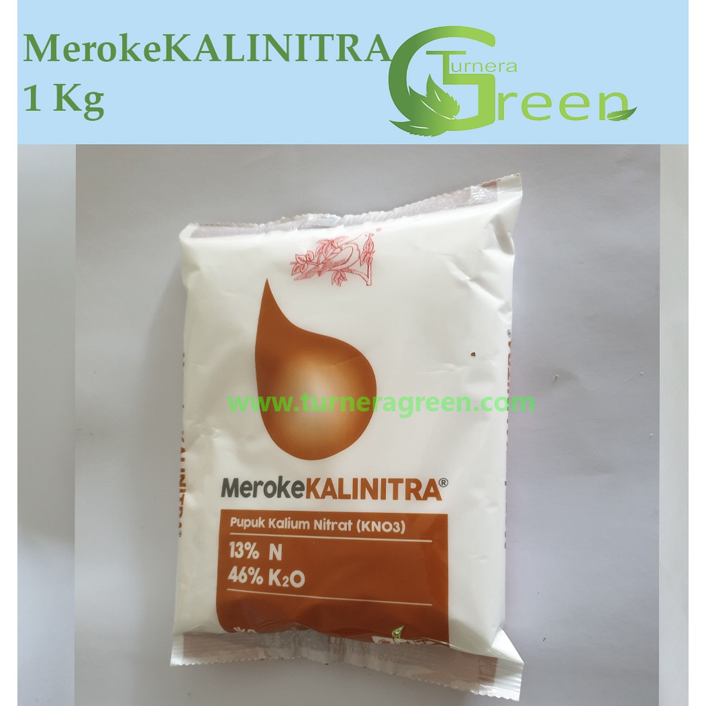 Jual Pupuk Meroke Kalinitra 1 Kg Pupuk Kalium Nitrat KNO3 | Shopee ...